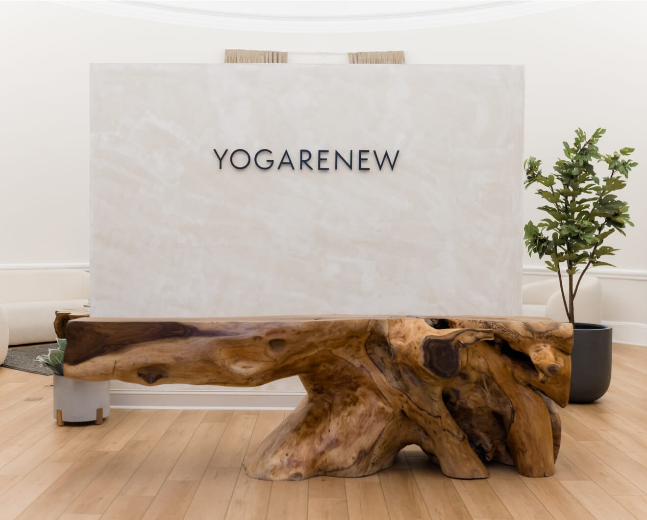 Hoboken's Best Yoga Studio | YogaRenew Hoboken